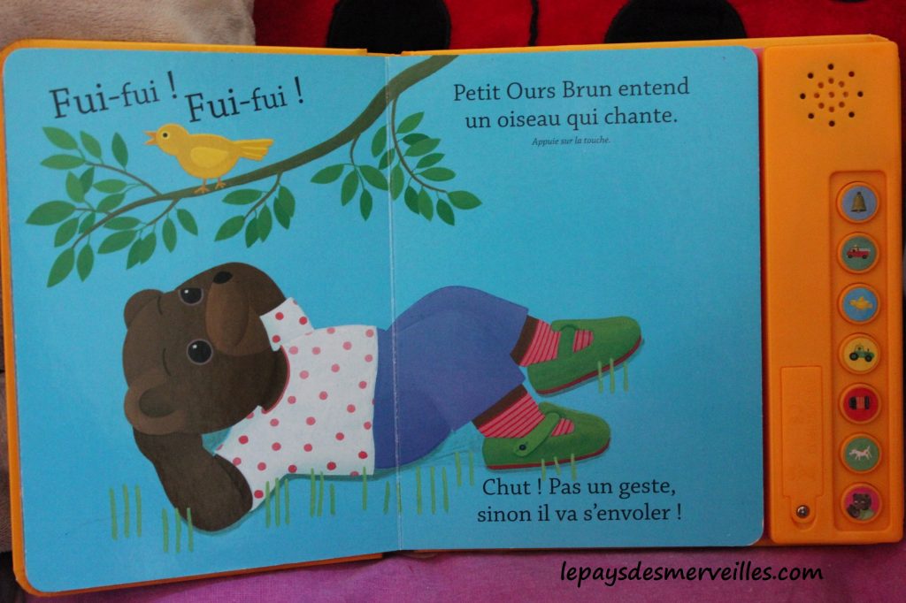Petit Ours Brun entend tout - Le pays des merveilles