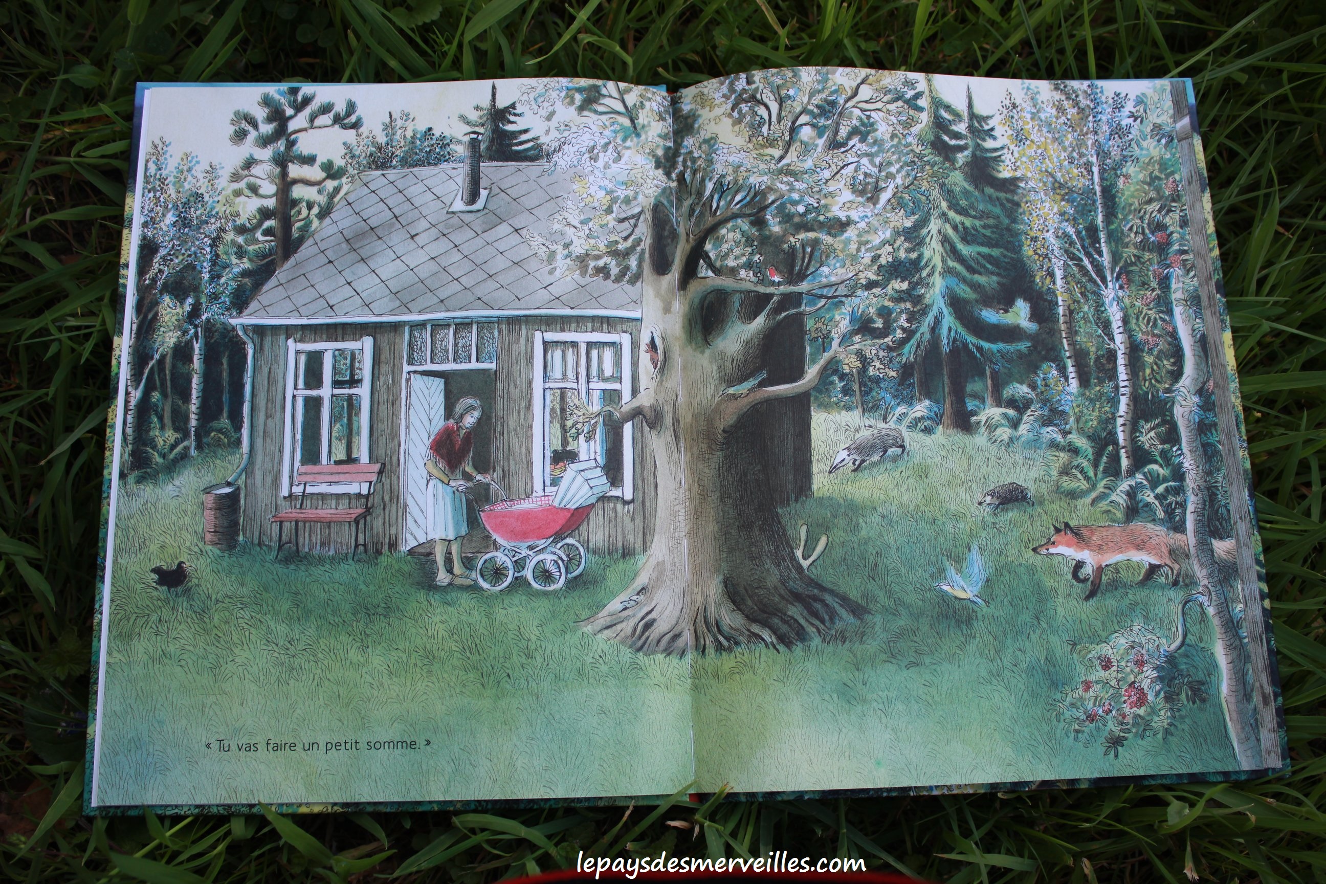 Livre Petit somme de Anne Brouillard - Le pays des merveilles