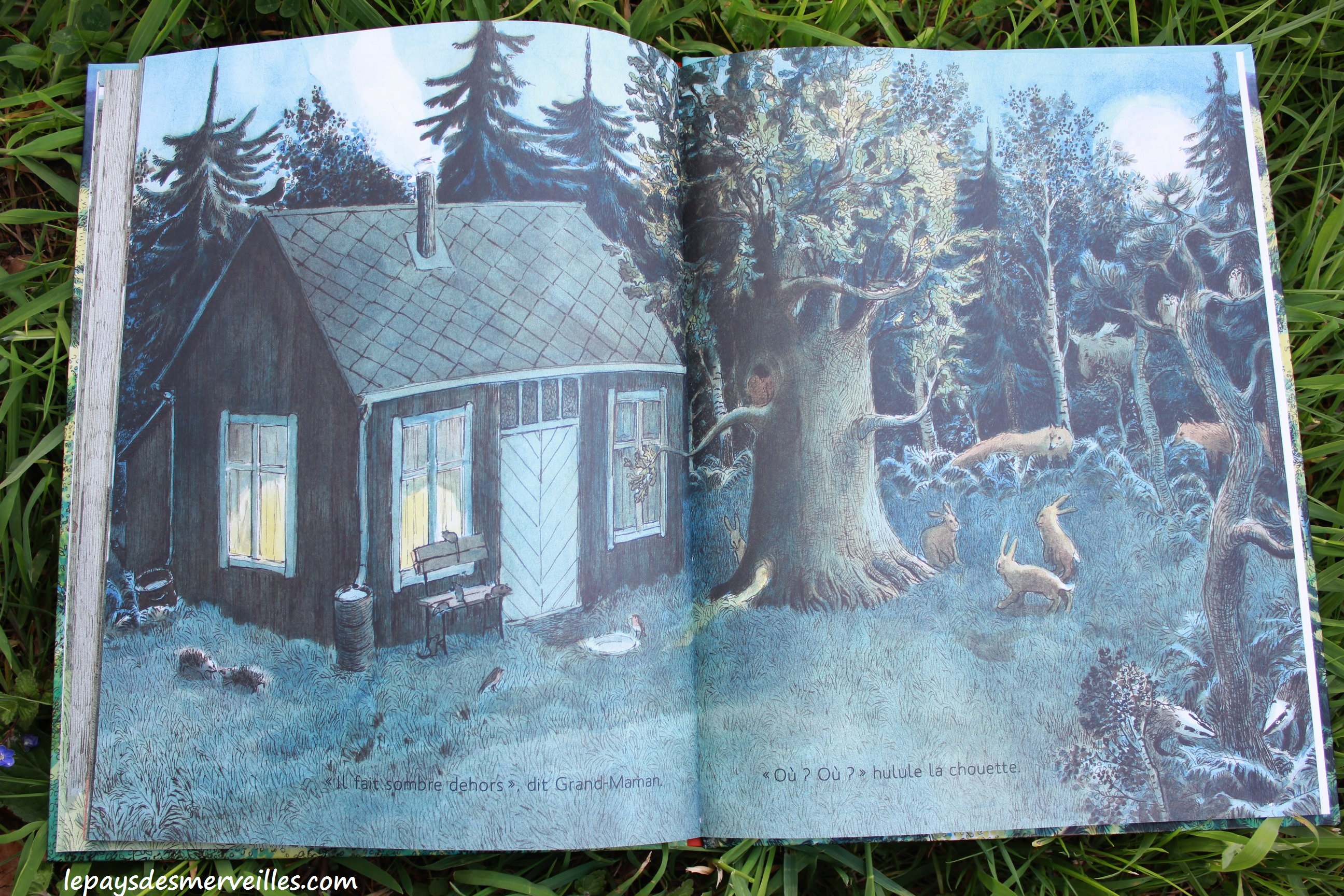 Livre Petit somme de Anne Brouillard - Le pays des merveilles